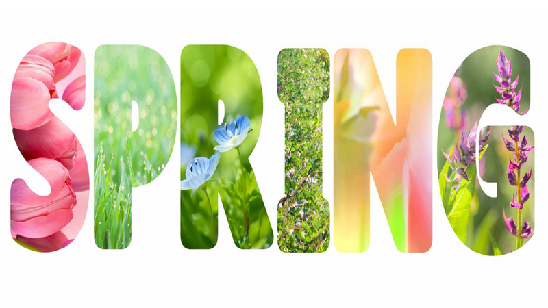 Bath, Body & Beauty | Cruelty Free | Maison de Savon